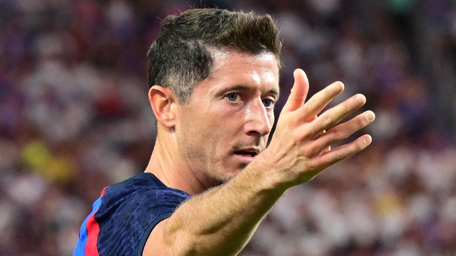 Grand Mère De Robert Lewandowski Wikipédia - Médias Célèbres